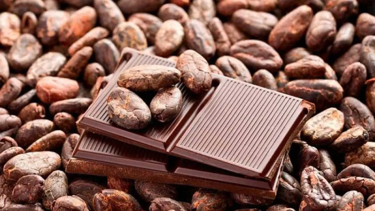 Lielākie Peru šokolādes pircēji ir ASV un Kanāda; Čīle un Ekvadora ir ...